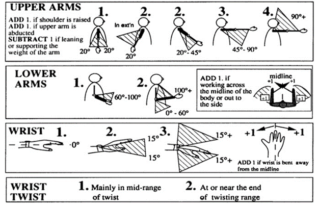 RULA Assessment: How to Implement it in Manufacturing
