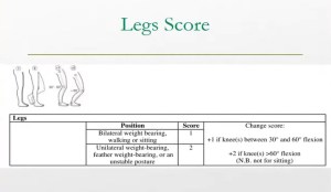 A Complete Guide for Using REBA Assessment Tool