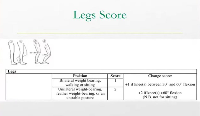 A Complete Guide for Using REBA Assessment Tool
