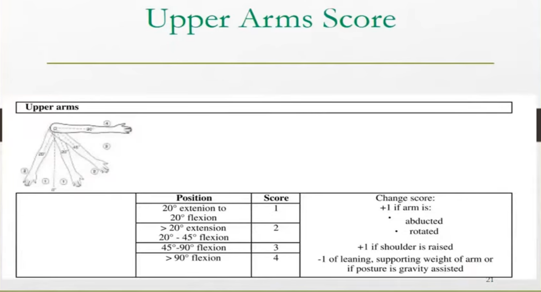 A Complete Guide for Using REBA Assessment Tool