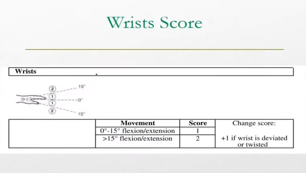 A Complete Guide for Using REBA Assessment Tool