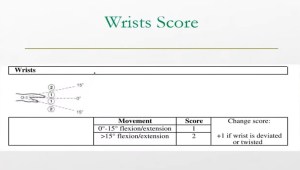 A Complete Guide for Using REBA Assessment Tool