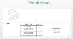 A Complete Guide for Using REBA Assessment Tool